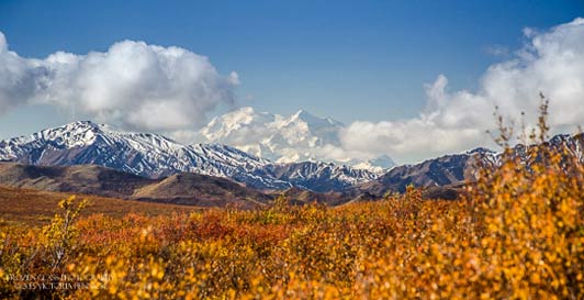 Denali National Park – Musings on the “Great One” : Authentic Luxury Travel